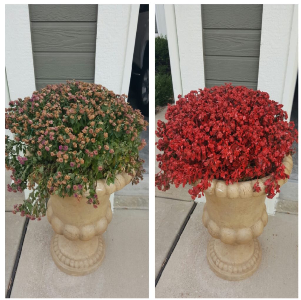 Spray Painted Mums - add Christmas sparkle to the porch | Magic Brush